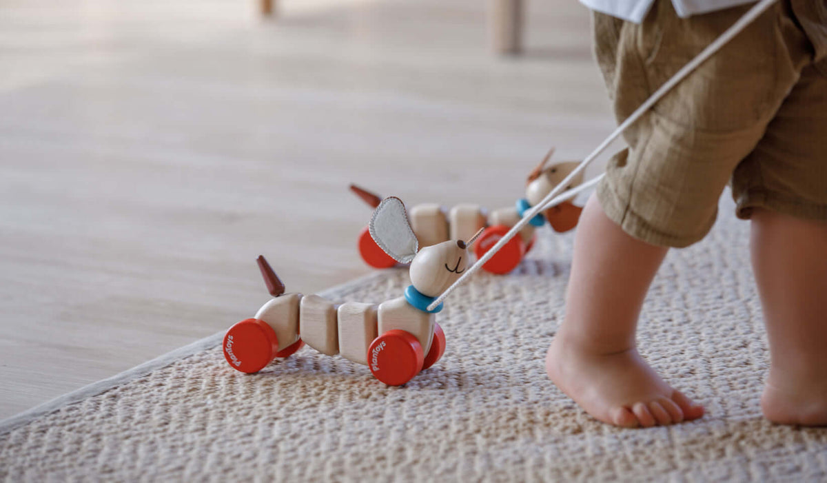 Pull toys are a classic for a reason – Comme des Pirates
