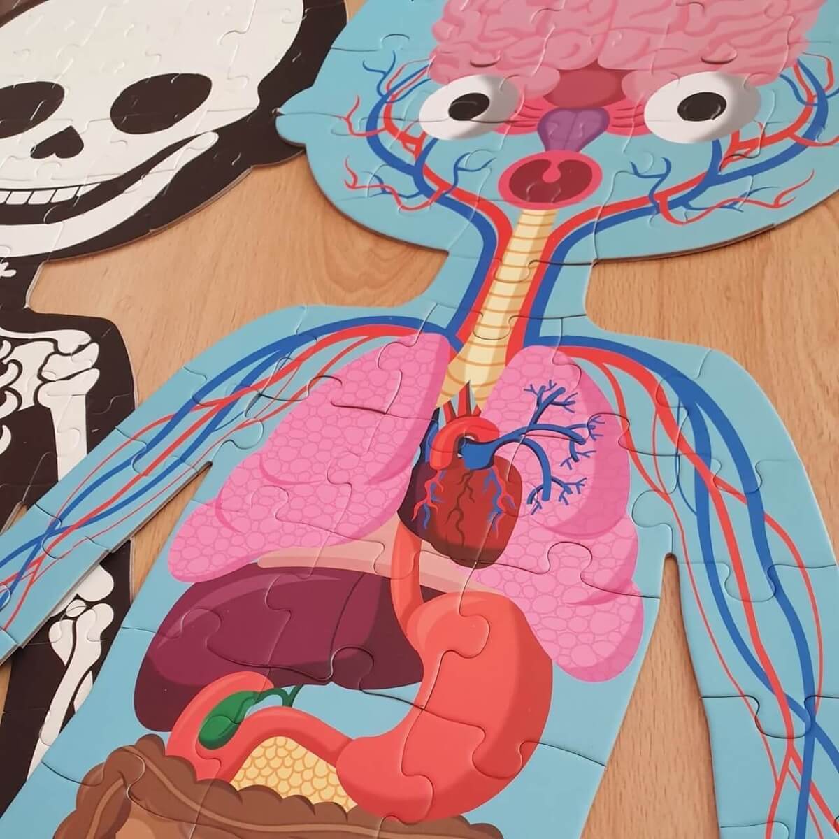 Puzzle éducatif géant - Le corps humain – Comme des Pirates